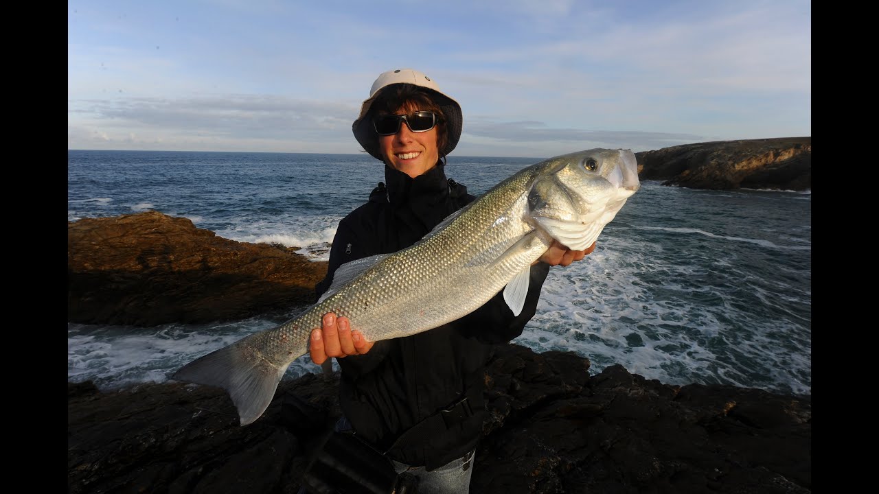 Pêche d'un gros bar en direct live d'environ 4 kg ! - YouTube