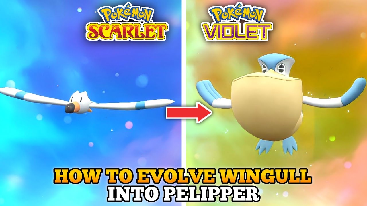 Wingull Evolution