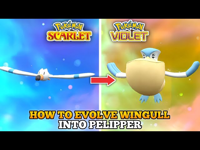 Wingull Final Evolution