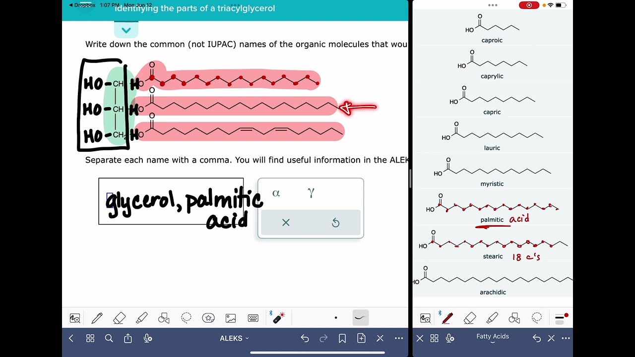 Can You Identify The Parts Of A Triglyceride Molecule