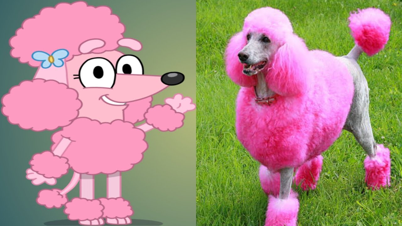 Blue dog V/S pink dog || real life images | 💥2023 Characters All 👉 ...