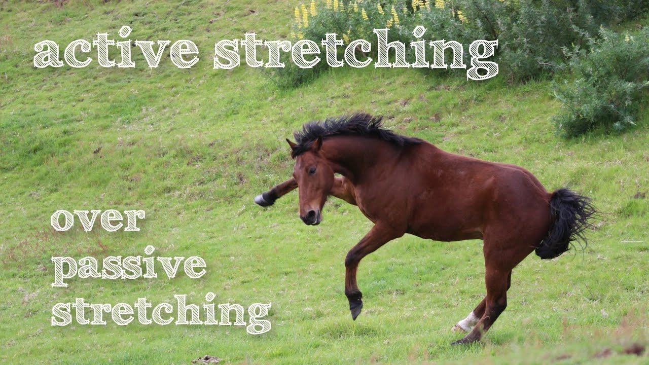 How to teach: Active shoulder stretch - YouTube