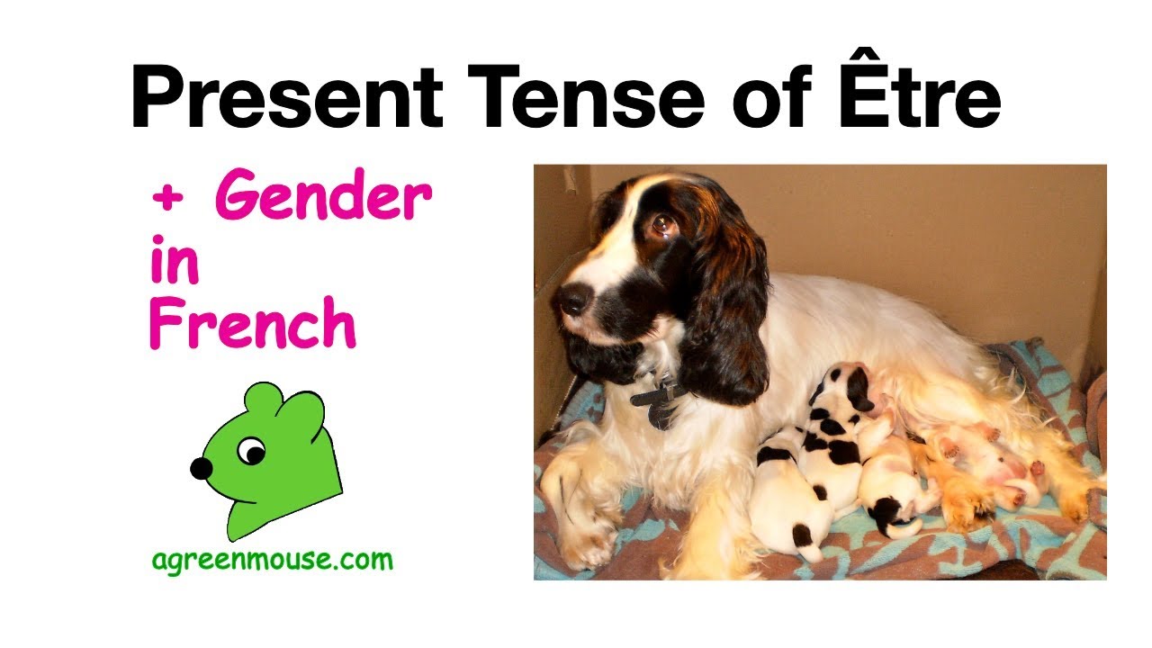 Present Tense Of tre Gender In French YouTube present-tense-of-tre-gender-in-french-youtube