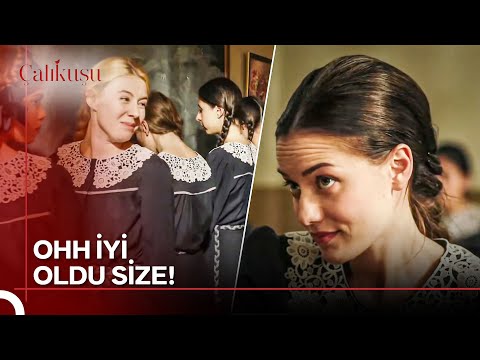 O Güzel Kafanızı Benim İşlerime Yormazsınız Artık | Çalıkuşu 3. Bölüm