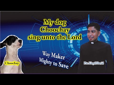 My dog Choochay sing unto the Lord - YouTube