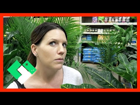 SHOPPING WITH HER (1.13.16 - Day 1383) | Clintus.tv