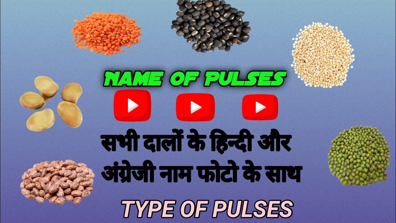 Name of Pulses | Type of Pulses - YouTube