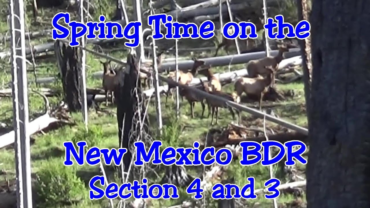 Spring Time on the New Mexico BDR - YouTube