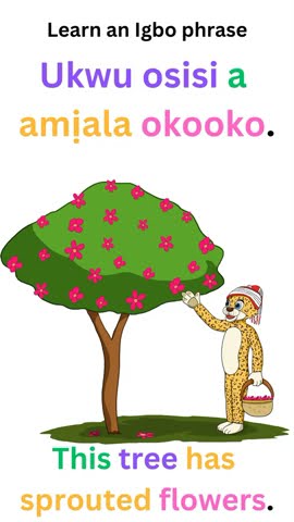 Learn Igbo with Maazi Agu | "This Tree Has Sprouted Flowers" 🌳🌺 - YouTube