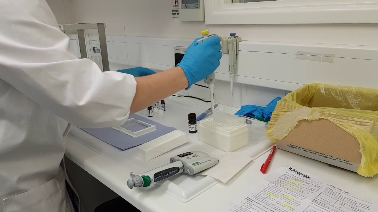 Randox training - YouTube