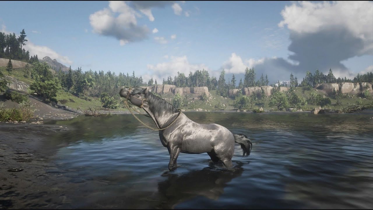 How to Find Rare Gray Mustang In Red Dead Redemption 2 - YouTube