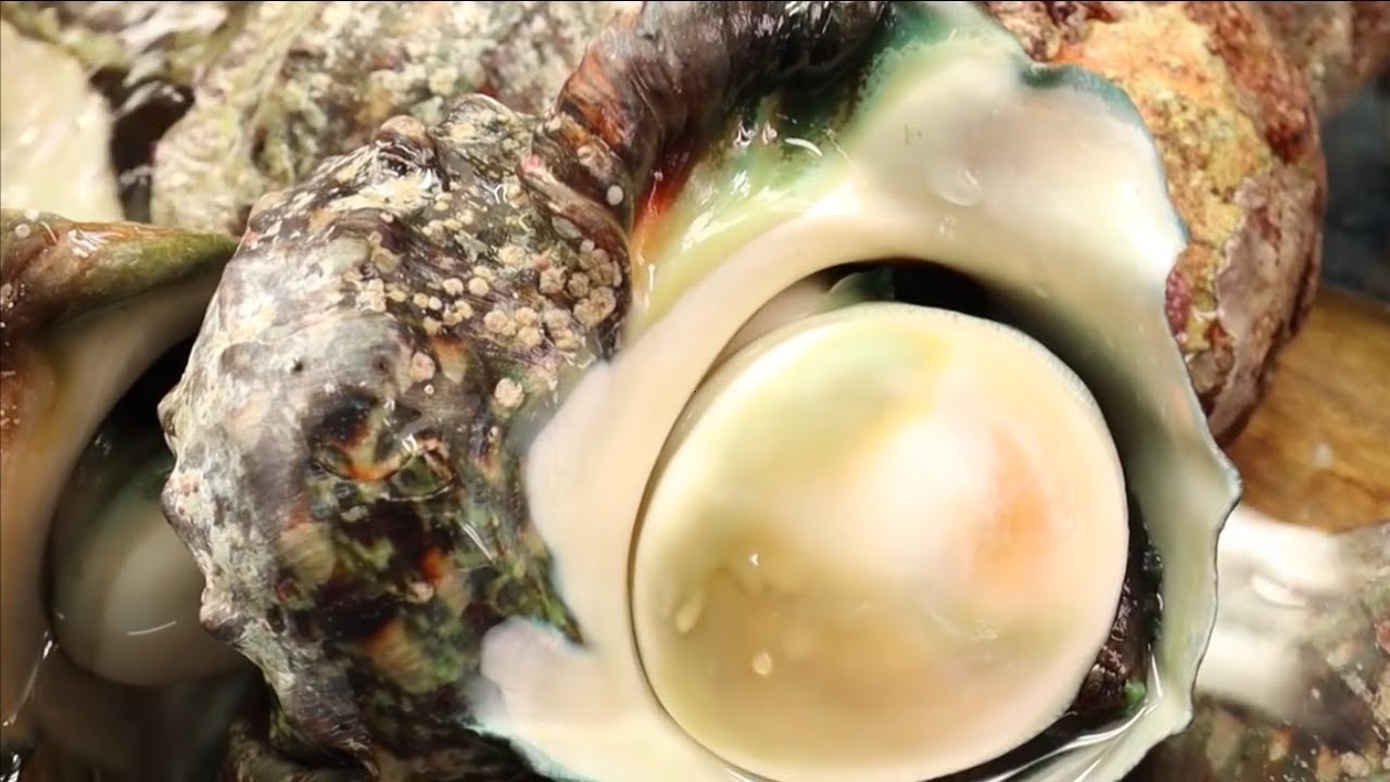 Street food, too big shellfish - YouTube