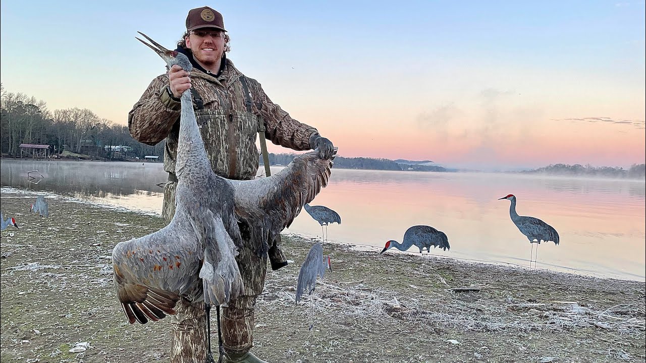 SANDHILL CRANE HUNTING IN TENNESSEE PUBLIC LAND (CATCH CLEAN AND COOK ...
