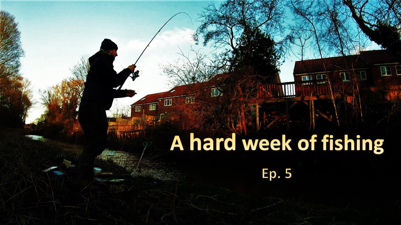 River Foss Fishing - Ep. 5: Catching Chub after a hard week of fishing ...