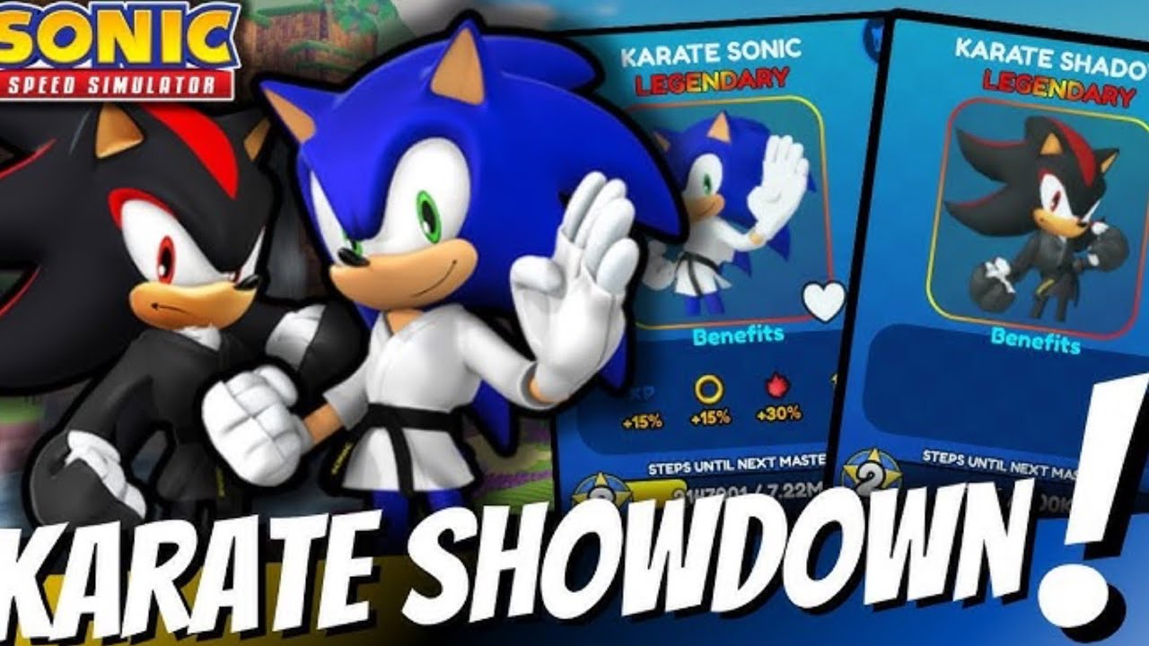 Sonic speed simulator-team shadow vs team shadow karate shadow unlocked ...