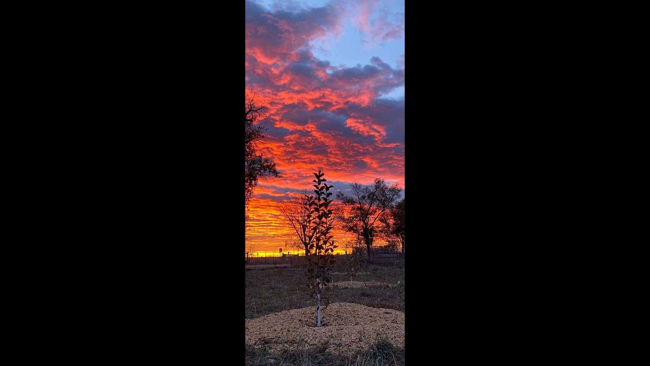 2023 Apple Symposium Keynote Speaker Dan Bussey - YouTube