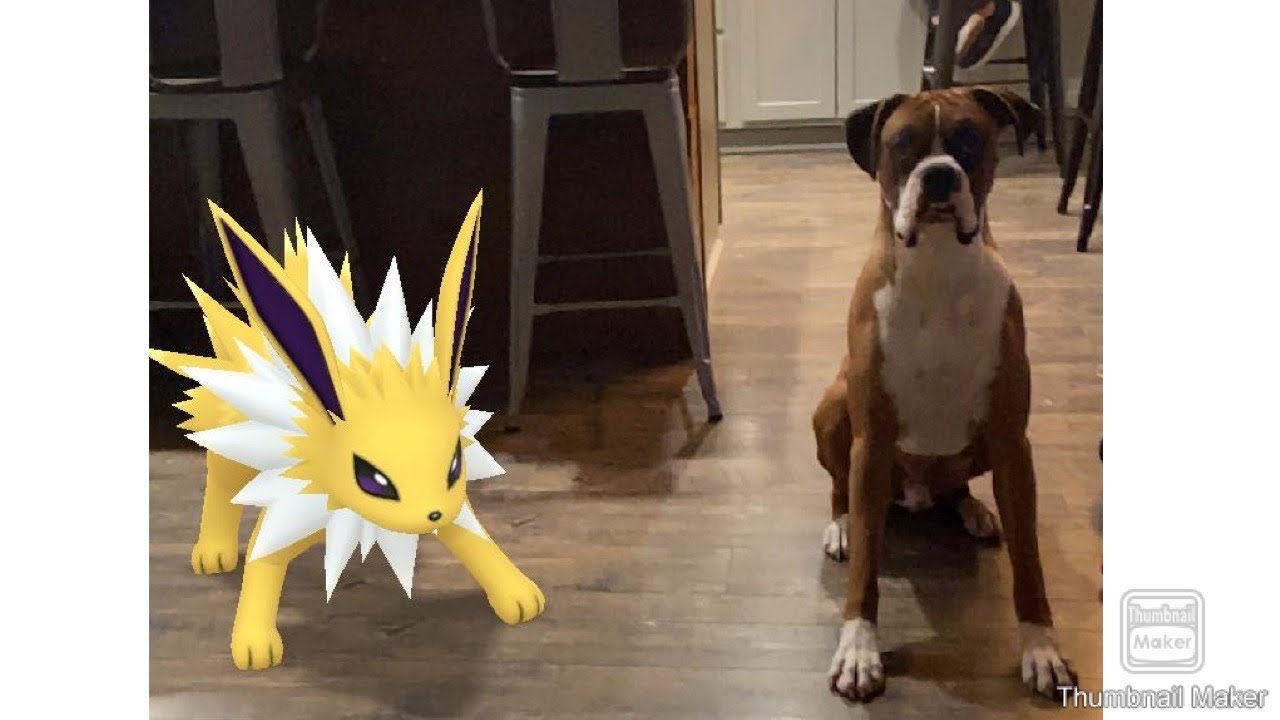 Pokémon battle in real life - YouTube