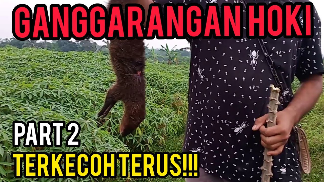 AREA TERSULIT BERBURU HAMA GANGGARANGAN !!! - YouTube