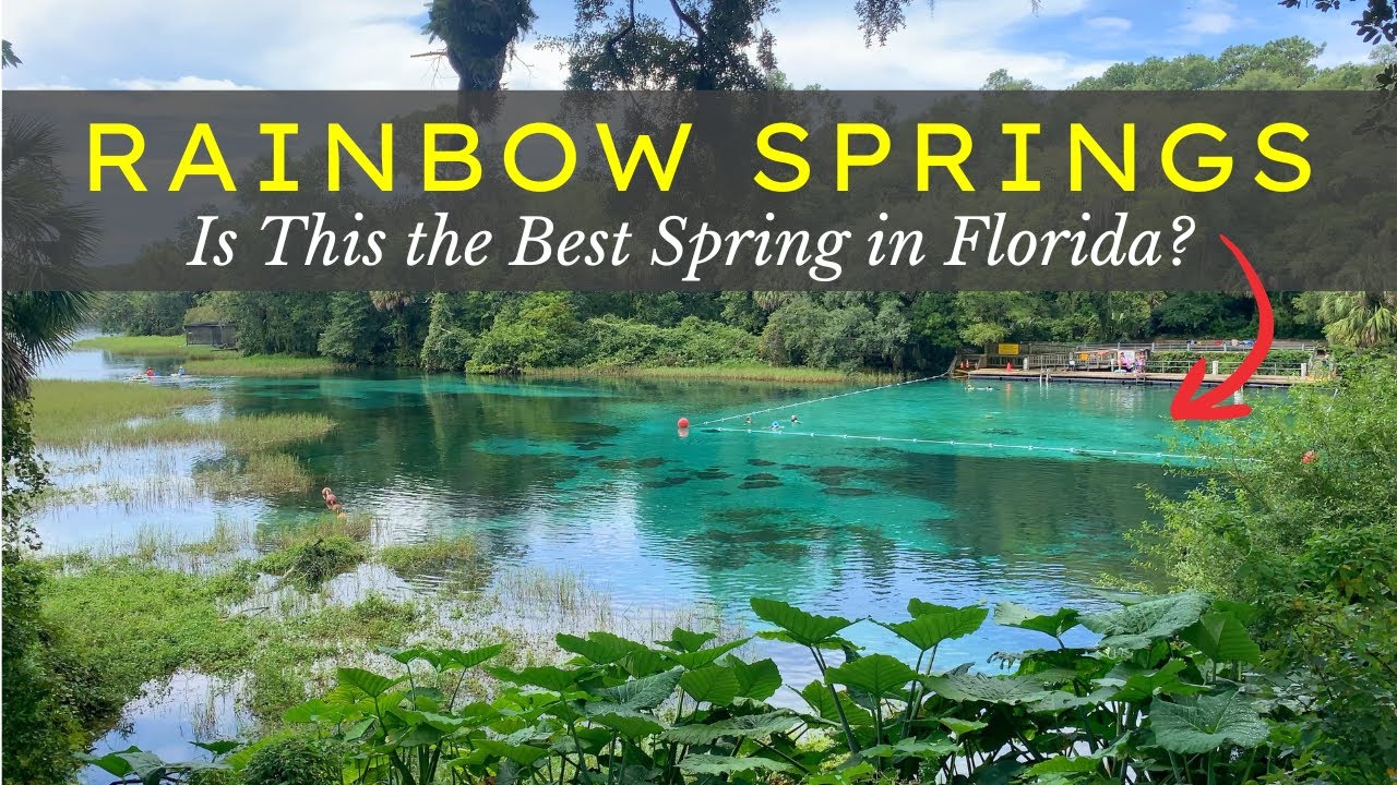Is Rainbow Springs Worth Visiting? | The Truth About Florida's Most ...