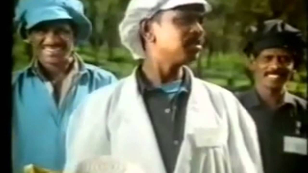 Typhoon 'Two Thumbs Fresh' Adverts x3 - YouTube