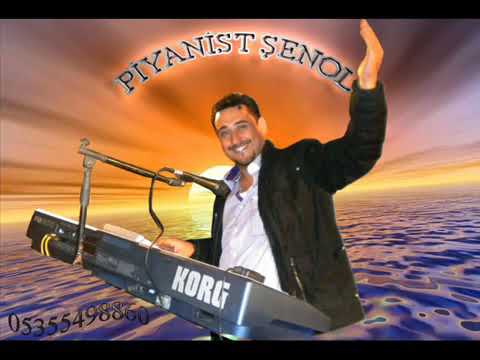 Piyanist Şenol