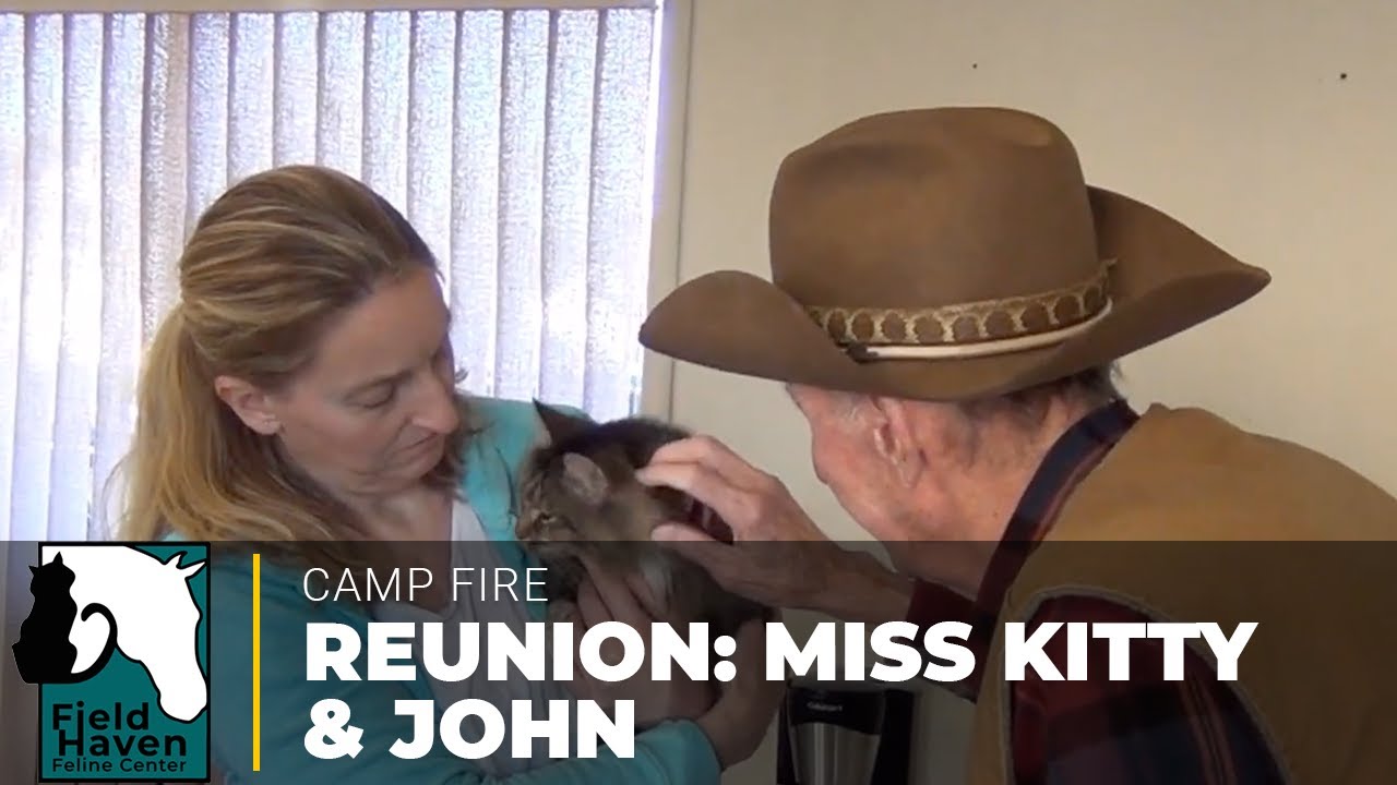 Camp Fire Reunion: Miss Kitty & John || FieldHaven Feline Center - YouTube