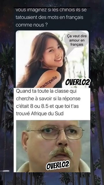 Mdrr Tractopelle🤣🤣 #mdr #memes #viral #humor #funny #drole #meme # ... Mdrr Tractopelle🤣🤣 #mdr #memes #viral #humor #funny #drole #meme # ...