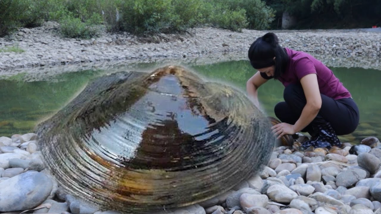 Have you ever seen wild black clam shells 400 years ago? After opening ...