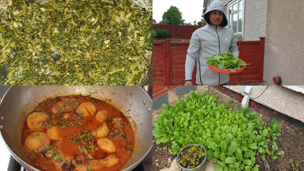 Mukhi with Rohu Fish Curry & Mula Shak - YouTube