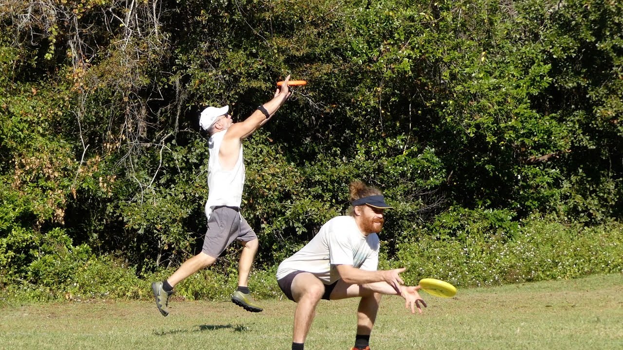 Double disc court, DDC, 17 November 2024 - YouTube