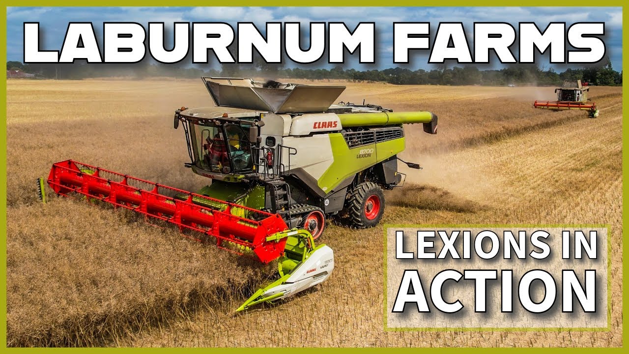LEXION 8700 TT & 750 in OSR - LABURNUM FARMS - YouTube