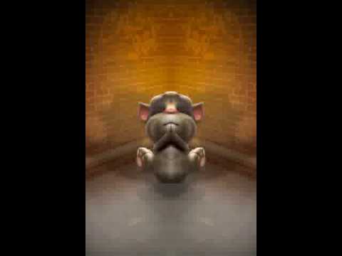 Talking Tom reverse and mirror - YouTube