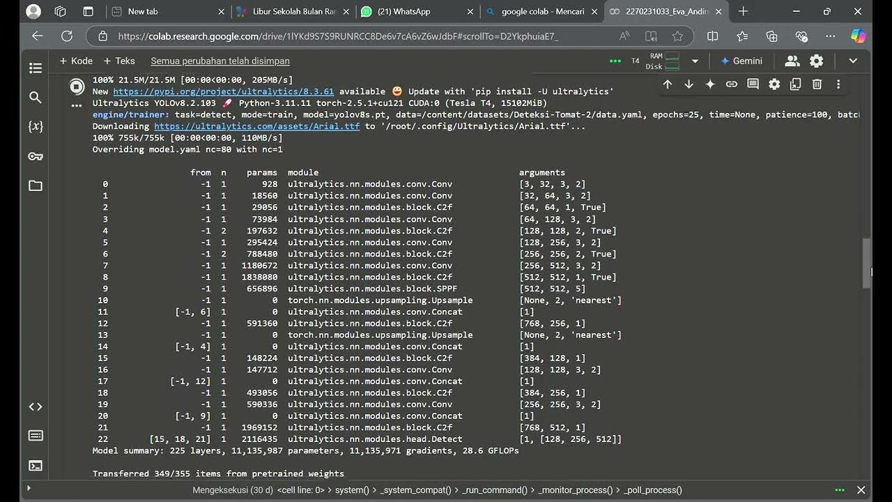 Implementasi Deteksi Tomat Menggunakan YOLO V8 - YouTube
