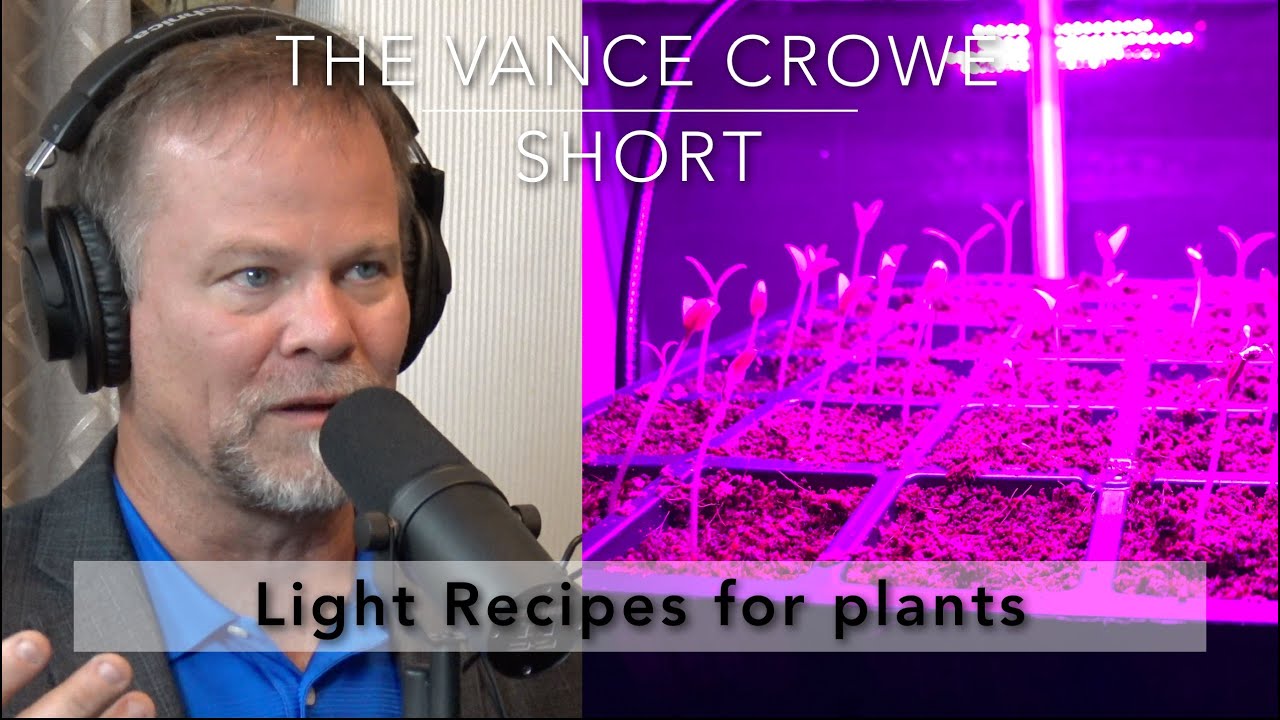 Tricking plants using lights | Plant Scientist Kevin Folta makes light ...