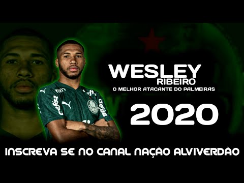 Wesley Ribeiro ● Goalls ● Assists ● Dribles ● SKillS 2020 ● Palmeiras ● HD