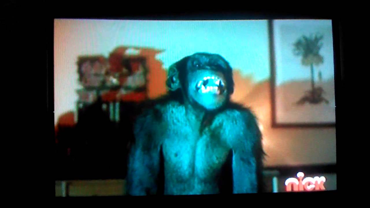 Merry Christmas Drake And Josh (Monkey Sence) - YouTube