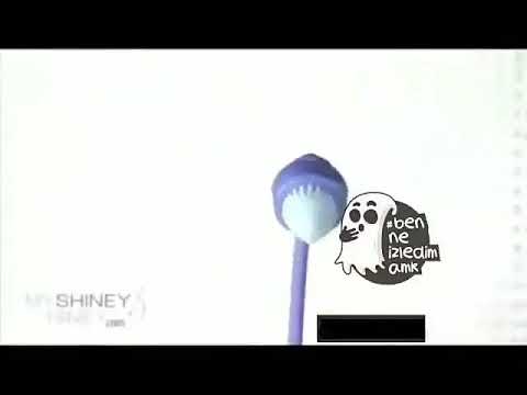 SHINEY HINEY / GÖT DELİĞİ KARIŞTIRICISI