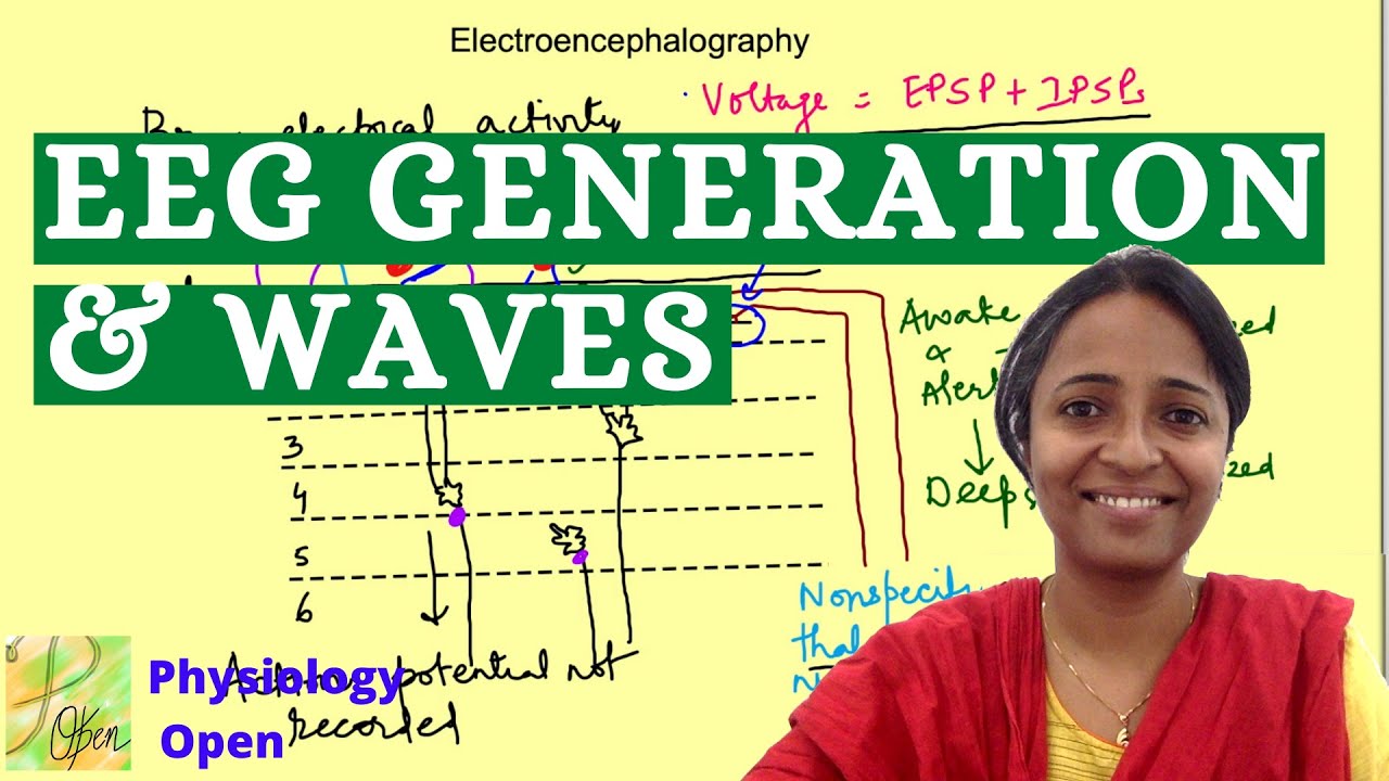 Electroencephalography | EEG waves | CNS Physiology mbbs 1st year ...