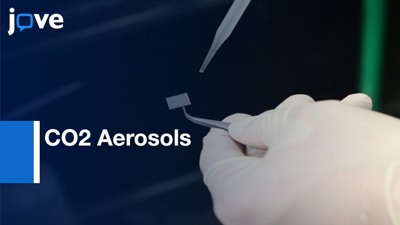 Biofilm Removal using CO2 Aerosols without Nitrogen purge | Protocol ...