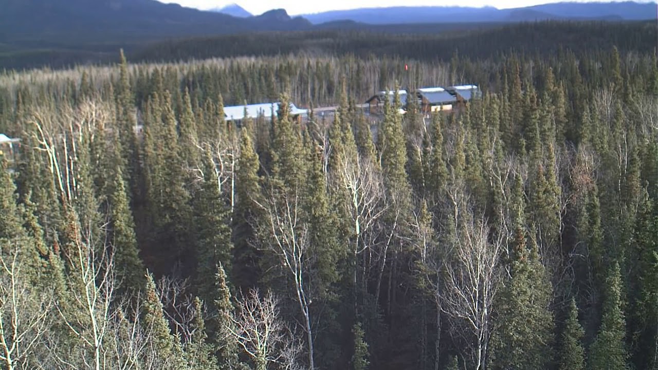 Denali National Park, October 2018 Time Lapse - YouTube