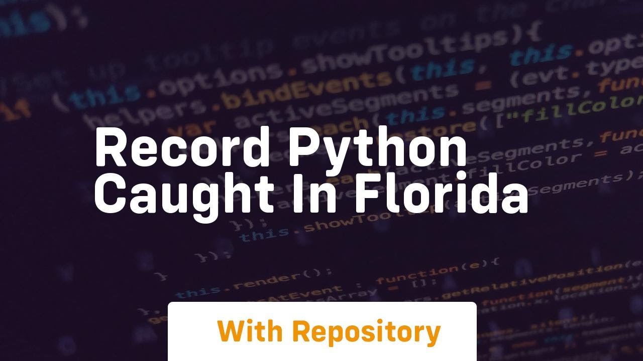 record python caught in florida - YouTube