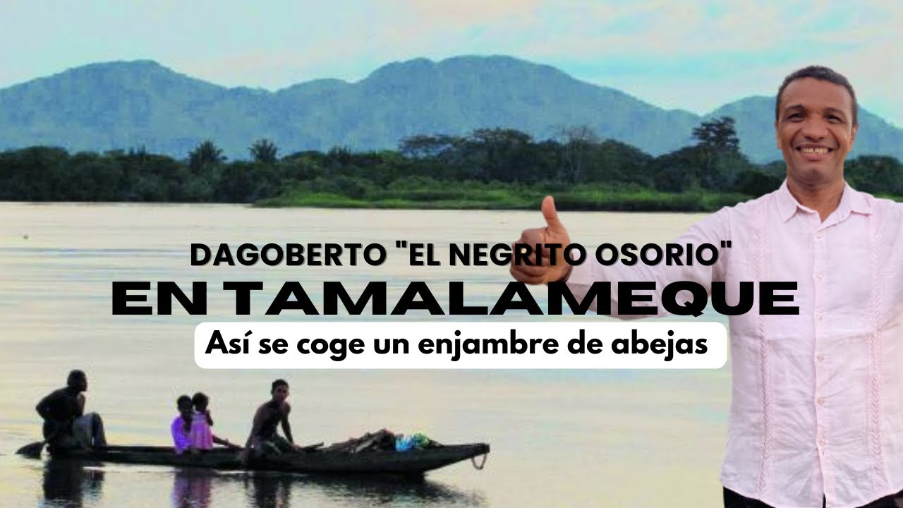 Dagoberto "El Negrito" Osorio en el Campo - YouTube