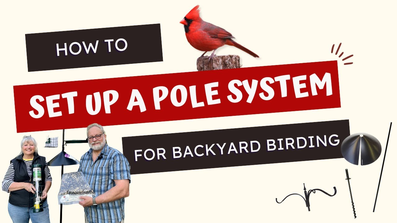 How To: Set Up A Pole System - YouTube