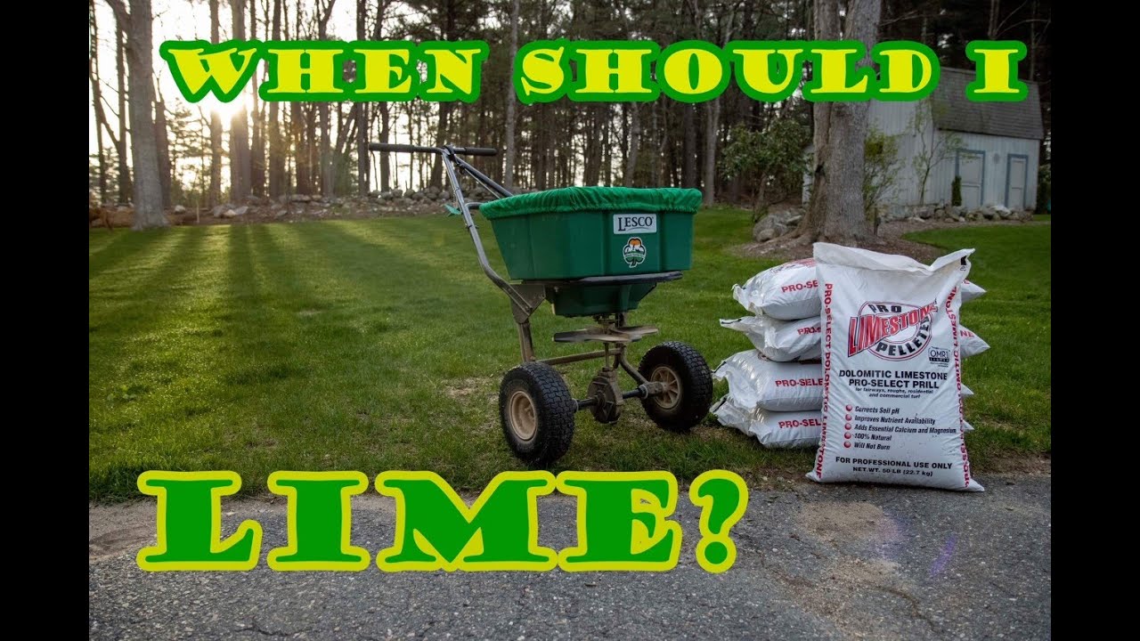 How and When to Lime? - YouTube