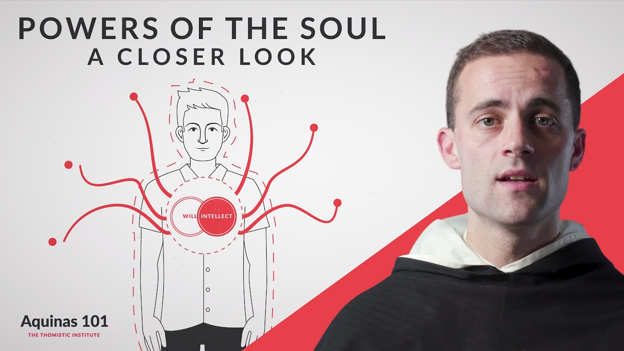 Powers Of The Soul A Closer Look Aquinas 101 YouTube