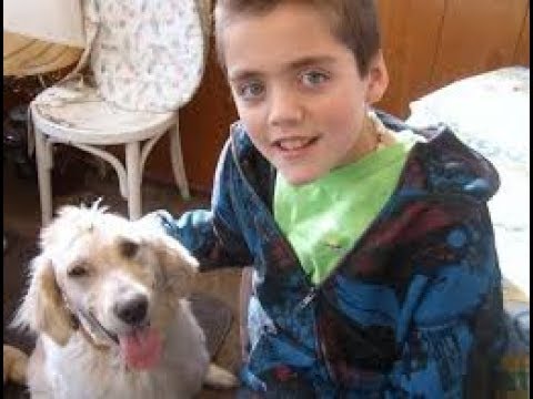 The most beautiful children and very cute situations with animals - YouTube