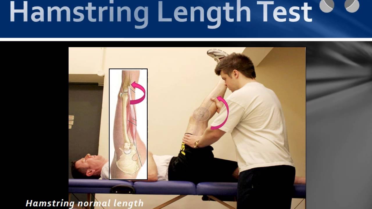 Hamstring test - YouTube