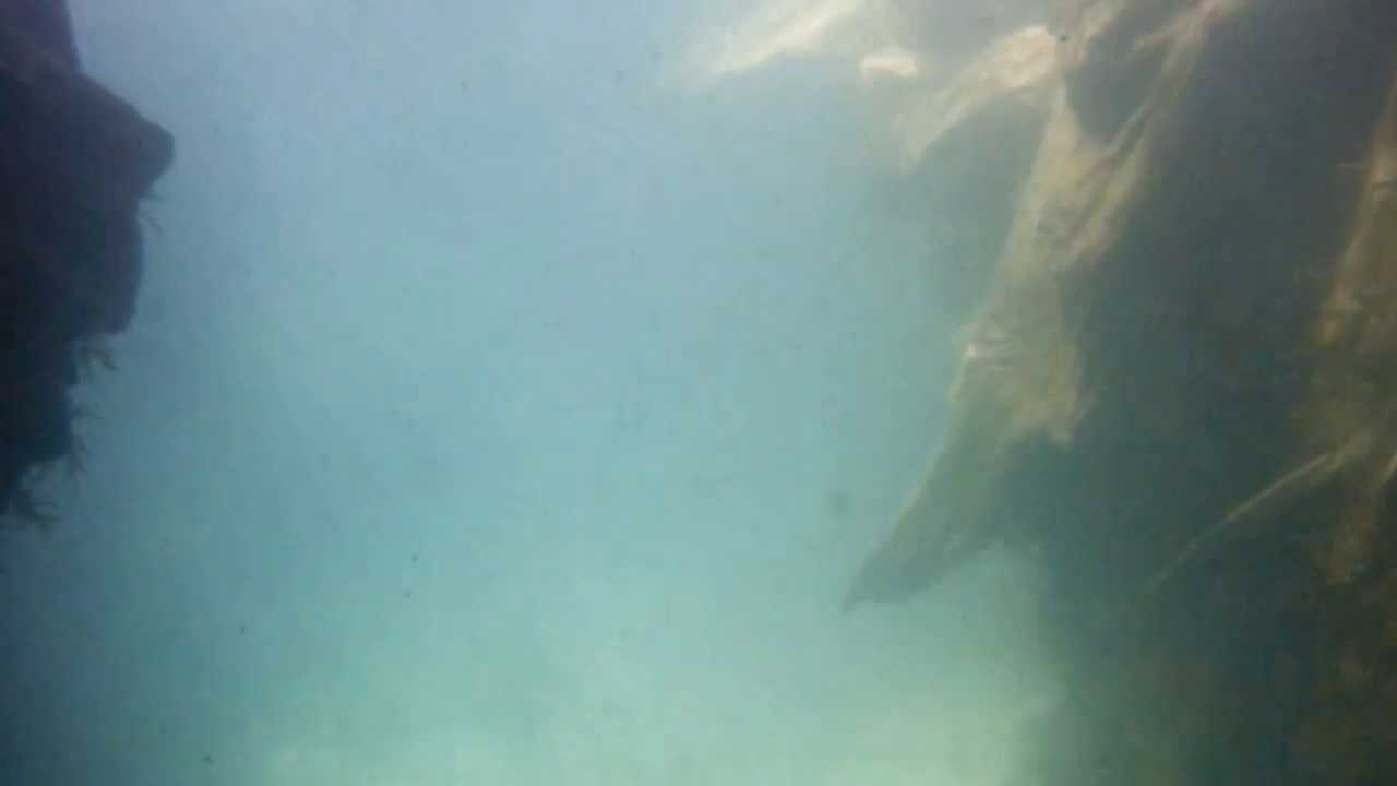 los ahuehuetes manantial puebla tepeojuma - YouTube