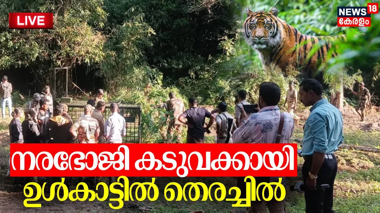 🔴LIVE | Search Operation is underway for Man-eating Tiger | Wayanad ...