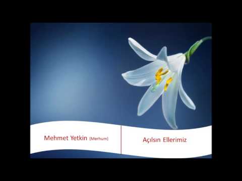 Mehmet Yetkin (Açılsın Ellerimiz )